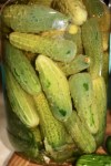 ICEBOX DILL PICKLES (no canning required) – Produce with Amy
